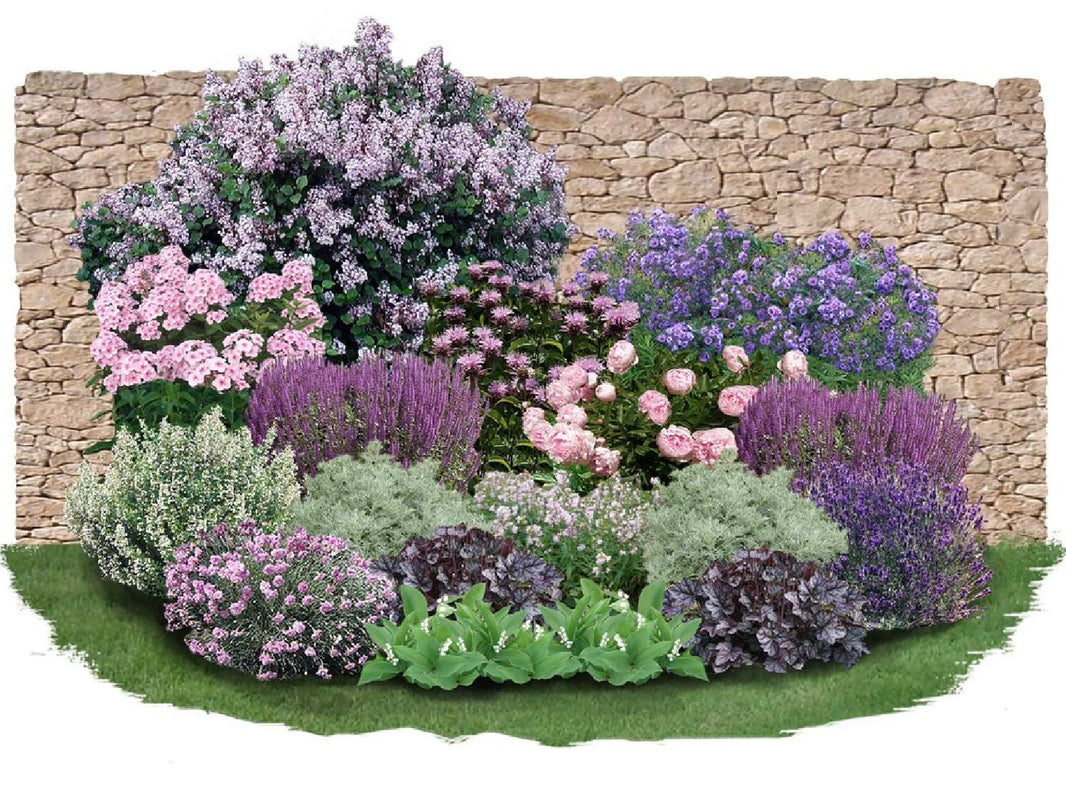 Das Staudenbeet (Beete planen, anlegen & pflegen) – Gräfin von Zeppelin